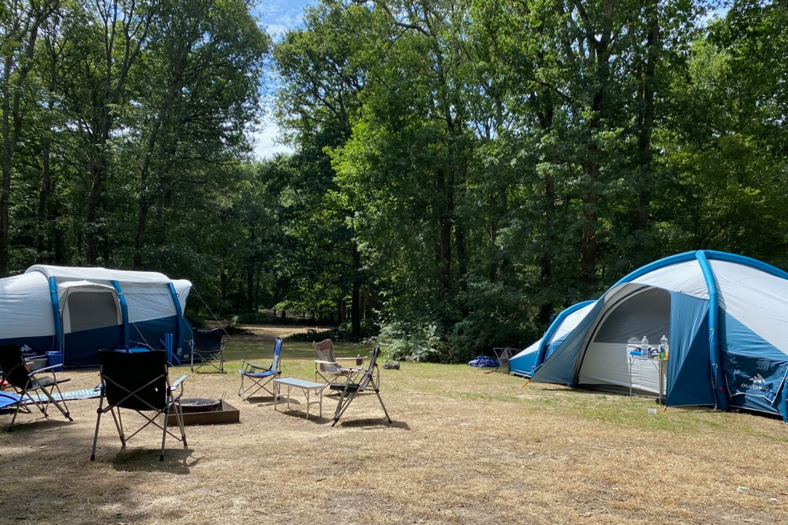 Fox Wood Campsite | Woodland camping in Sussex